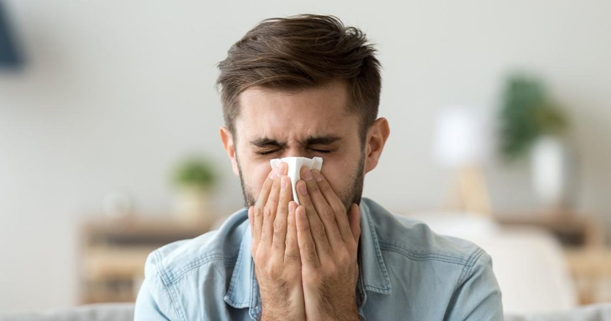 Demystifying Allergies: Causes, Symptoms and… | Schneck Medical Center