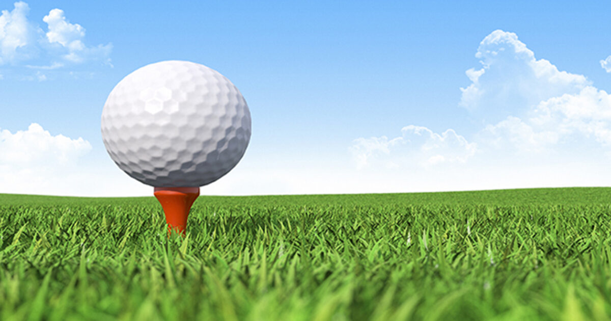 41st Annual Dr. Bud Charity Golf Tournament… | Schneck Medical Center