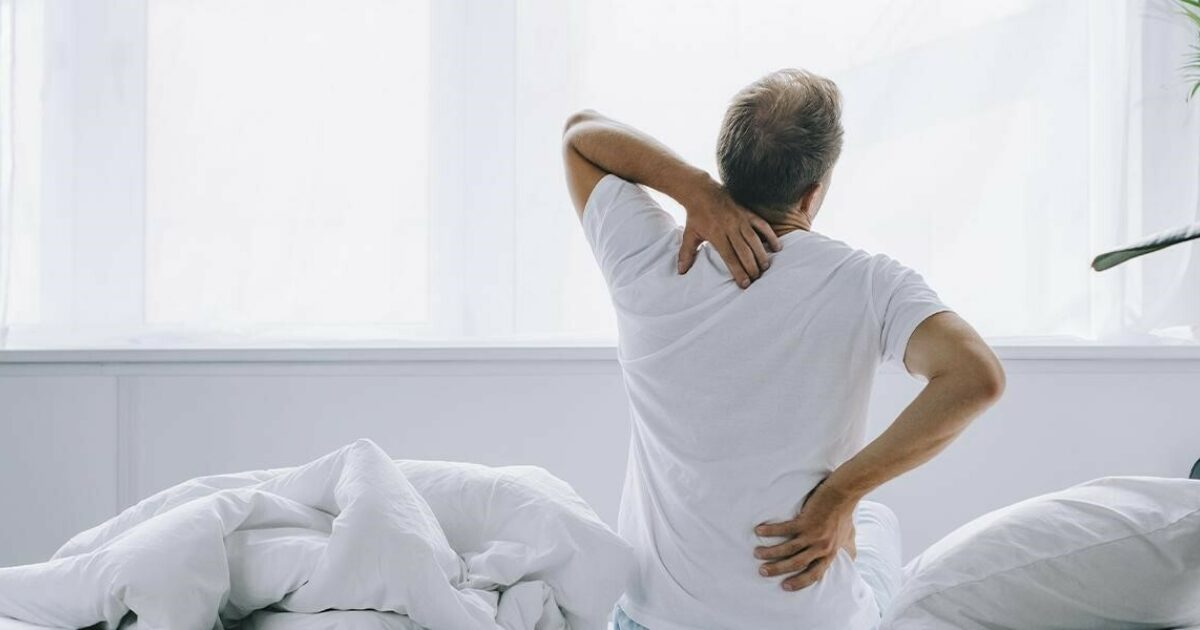 What Your Back Pain Is Telling You | Schneck Medical Center